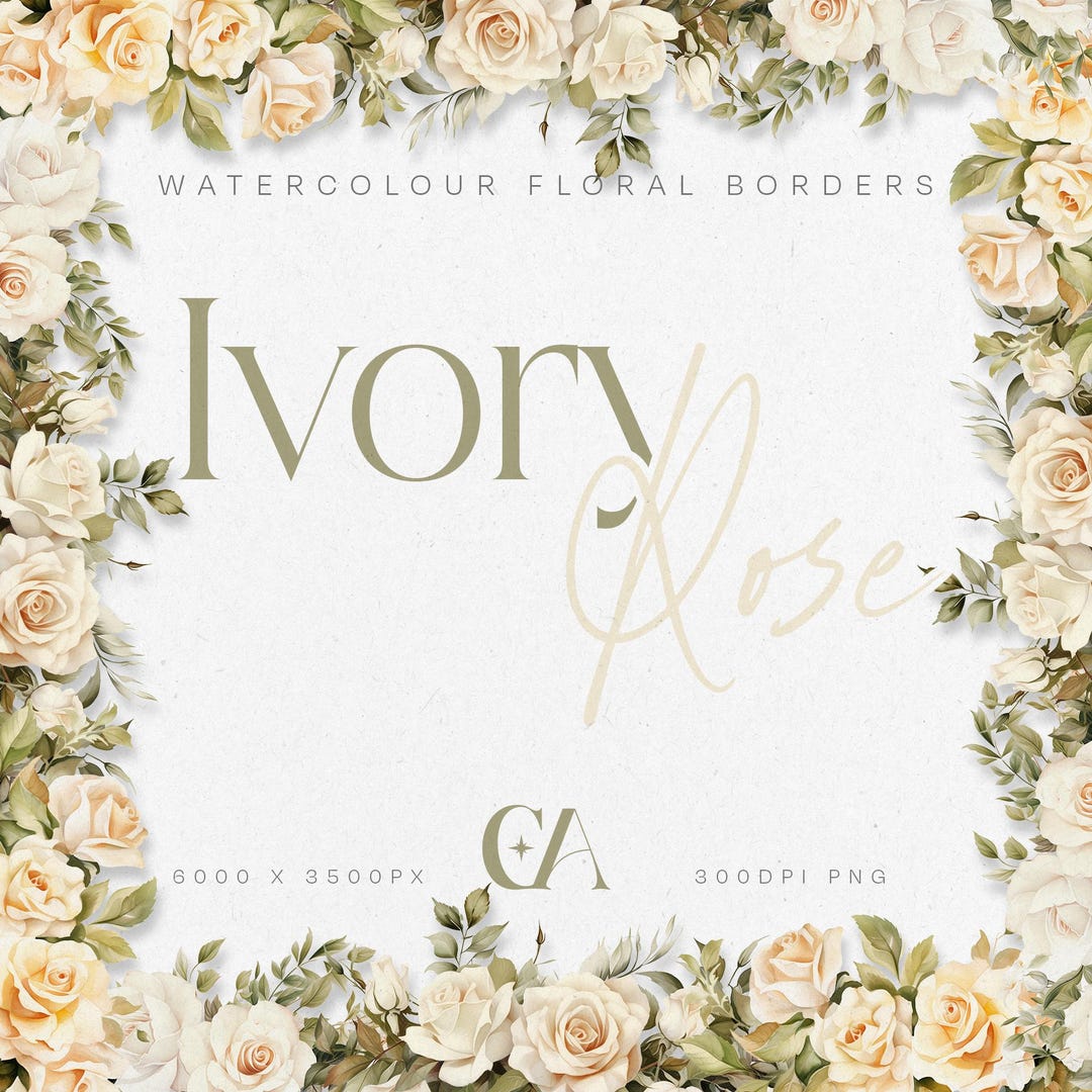 Floral Borders : PNG, Ivory Rose Borders Clipart, Floral Watercolour ...