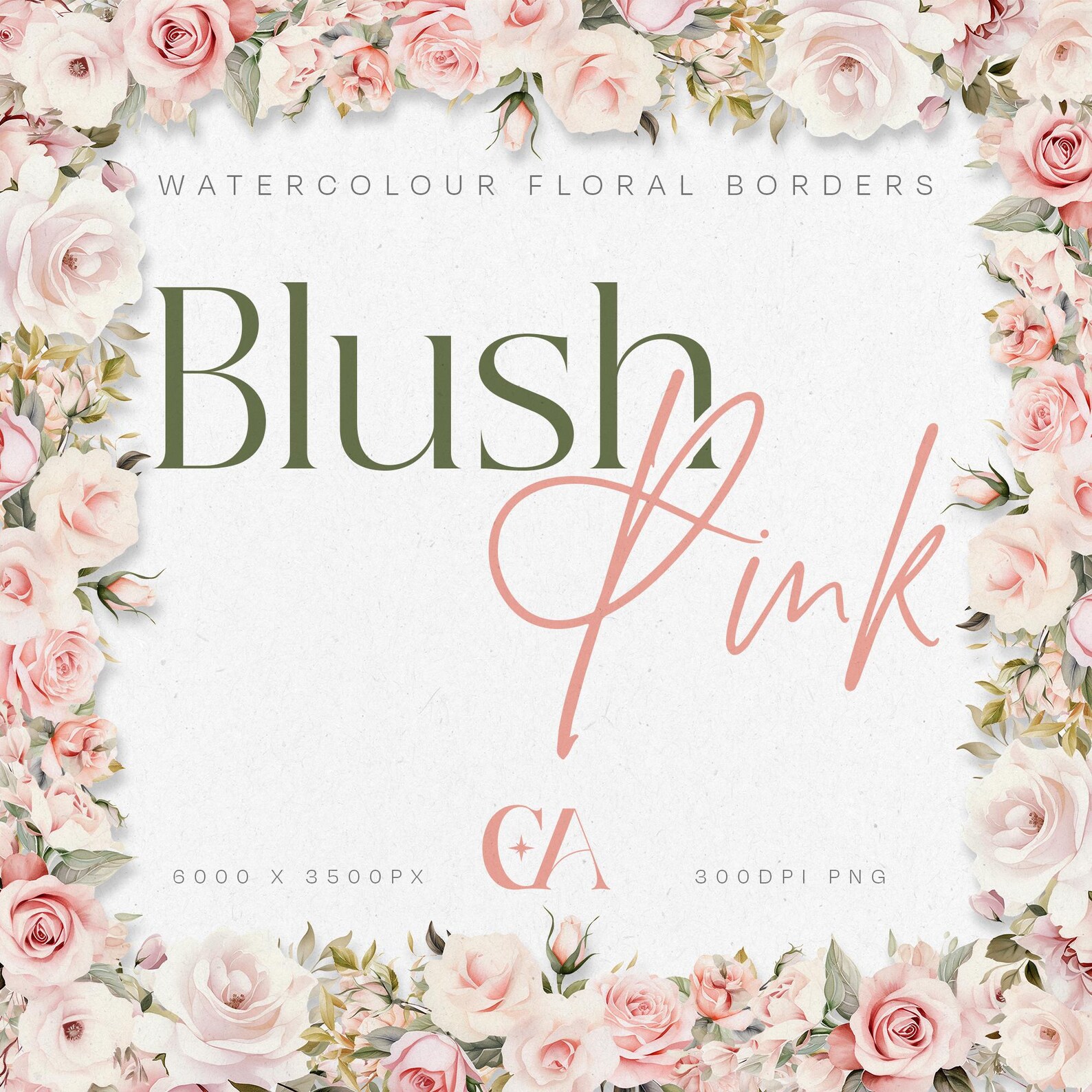 Floral Borders : PNG, Blush Pink Rose Borders Clipart, Floral ...