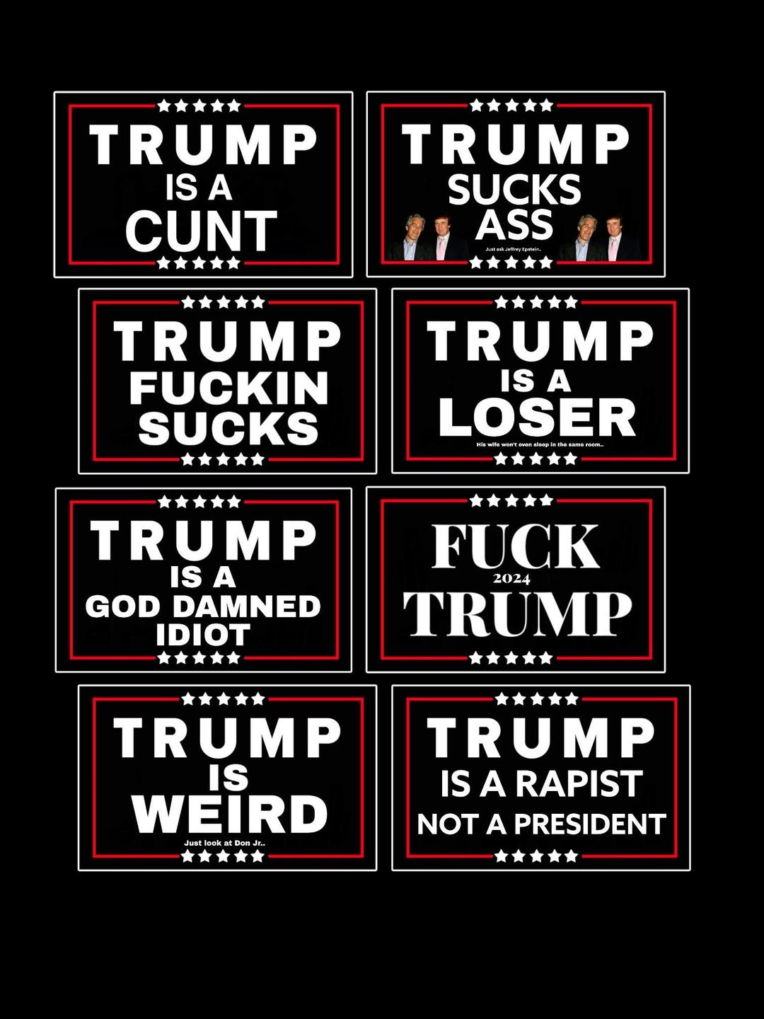 Anti Trump 8 Vinyl Sticker Bundle, Custom Waterproof 4”x2” Sticker - Etsy