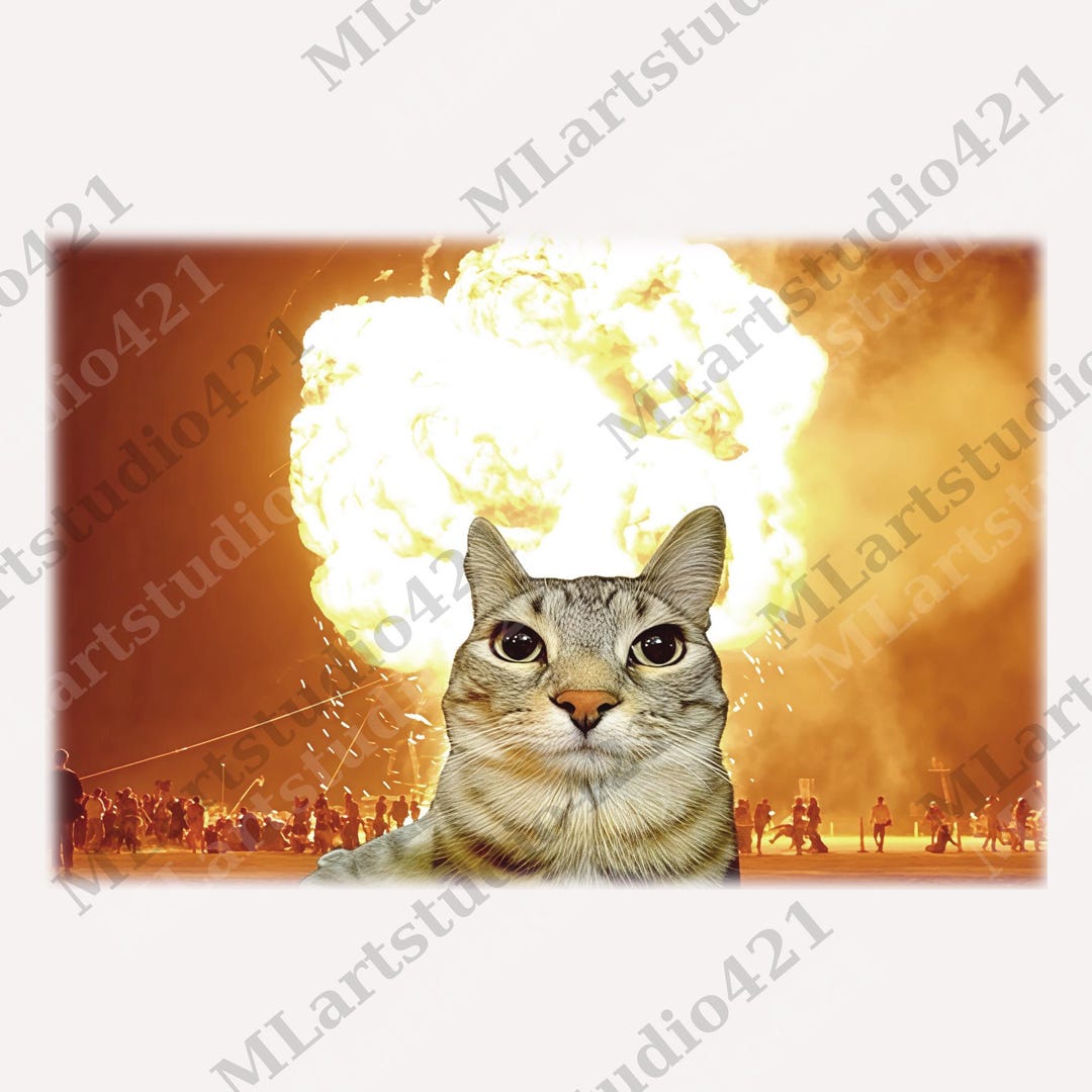 Funny Animal Vintage Graphic Png, Cats and Explosions Png, Animal ...