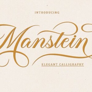 Manstein Font, Handwritten Font, Calligraphy Font, Chunky Font, Retro Font,classic Font ...