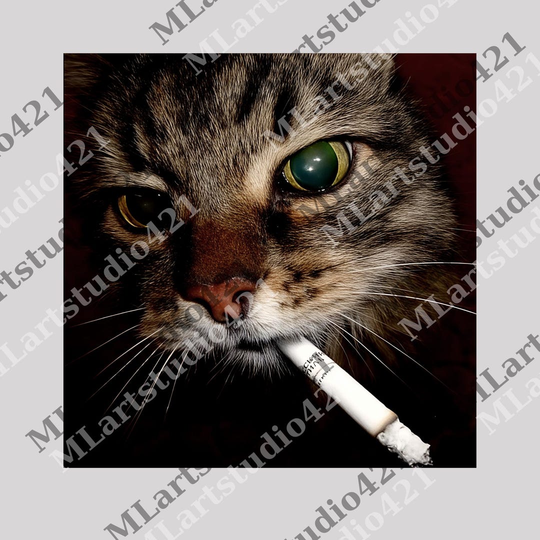 Funny Smoking Cat Meme Png, Cigarette Kitty Gen Z Joke Tee, Stupid ...