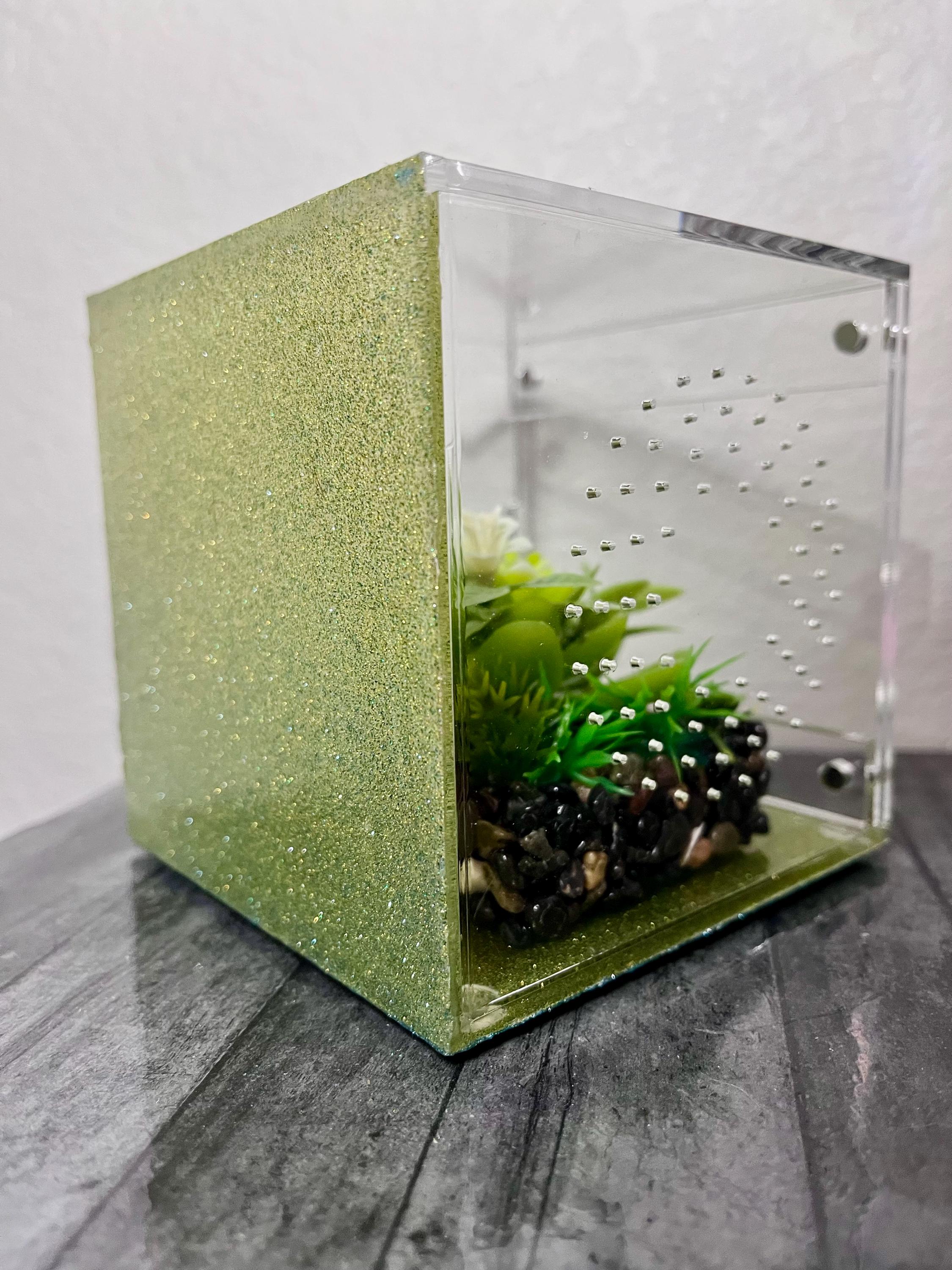 Jumping Spider Enclosure Special Edition magnetic Front Open resin ...