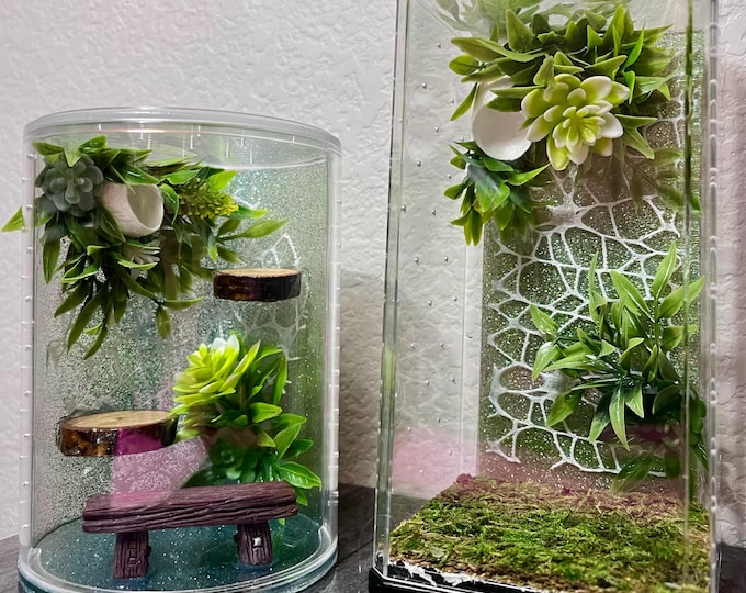 TWO Jumping Spider Enclosures (cylindrical) + (tall Bottom Opening ...