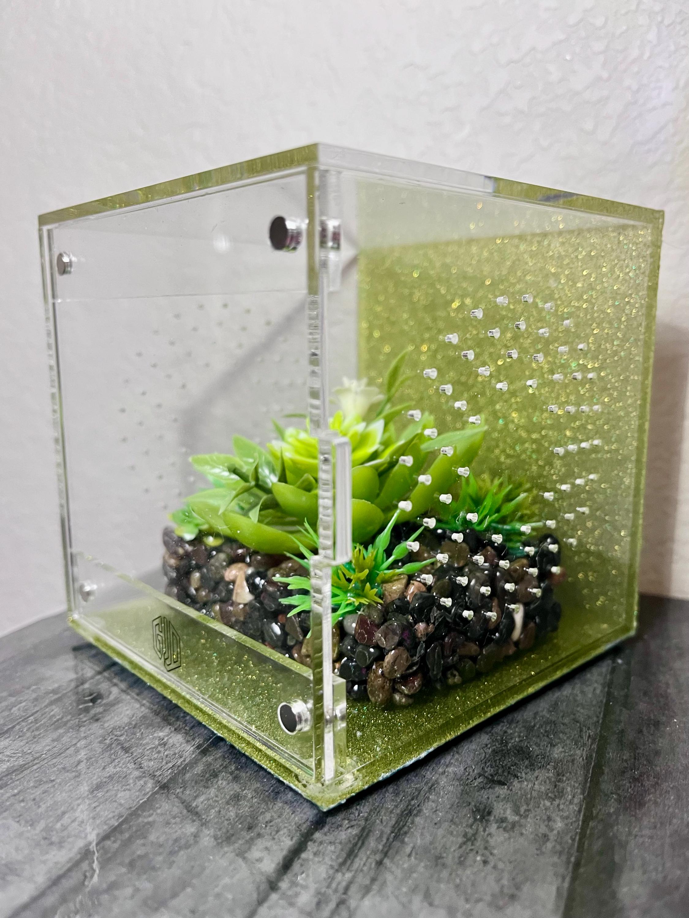 Jumping Spider Enclosure Special Edition magnetic Front Open resin ...