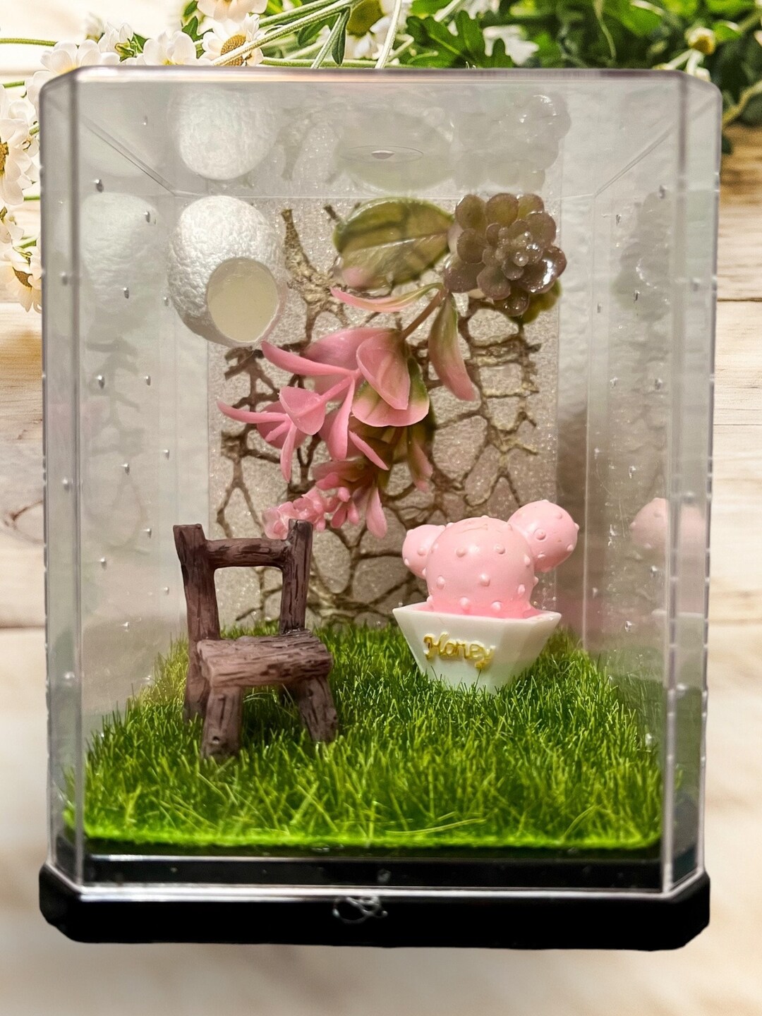 Jumping Spider Enclosure bottom Opening Sling Home - Etsy