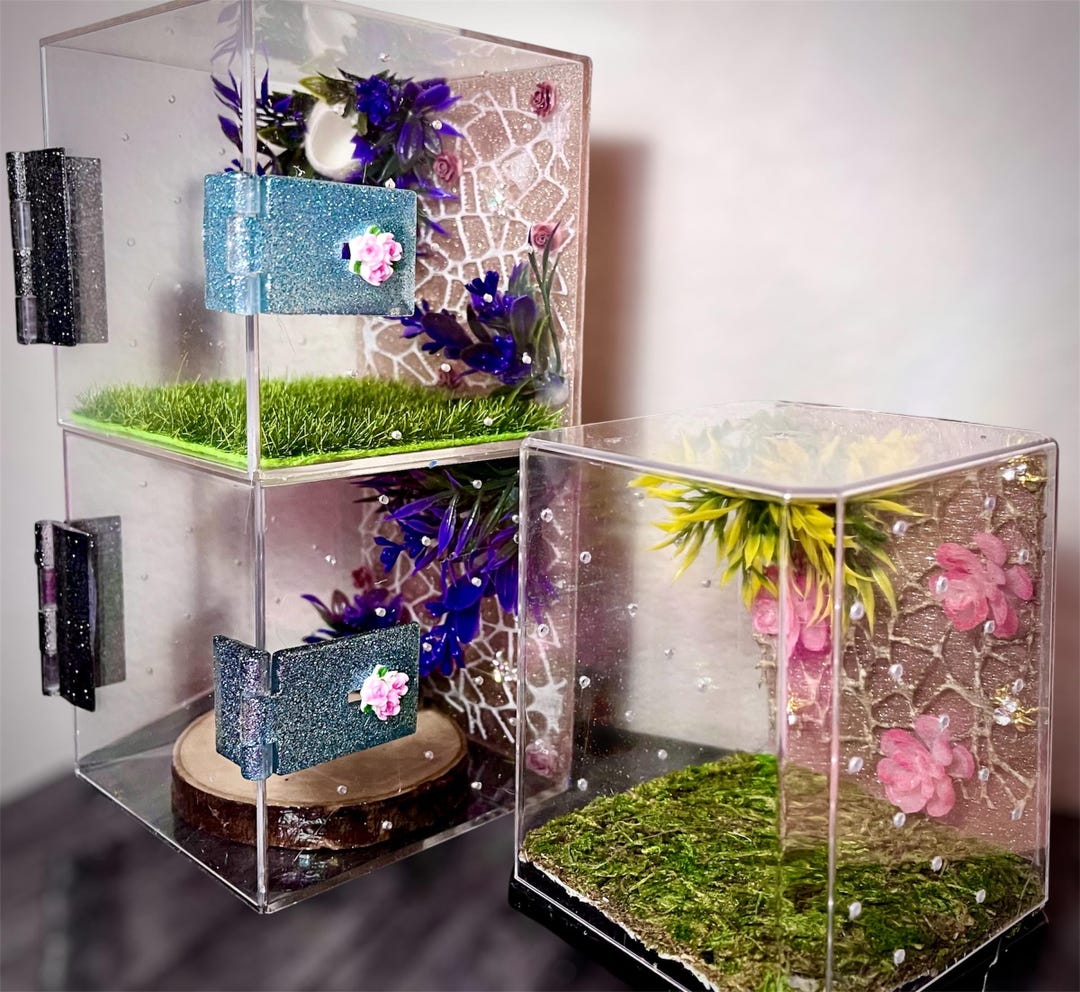 TWO Jumping Spider Enclosures BUNDLE Double Decker Condo Small Simple ...