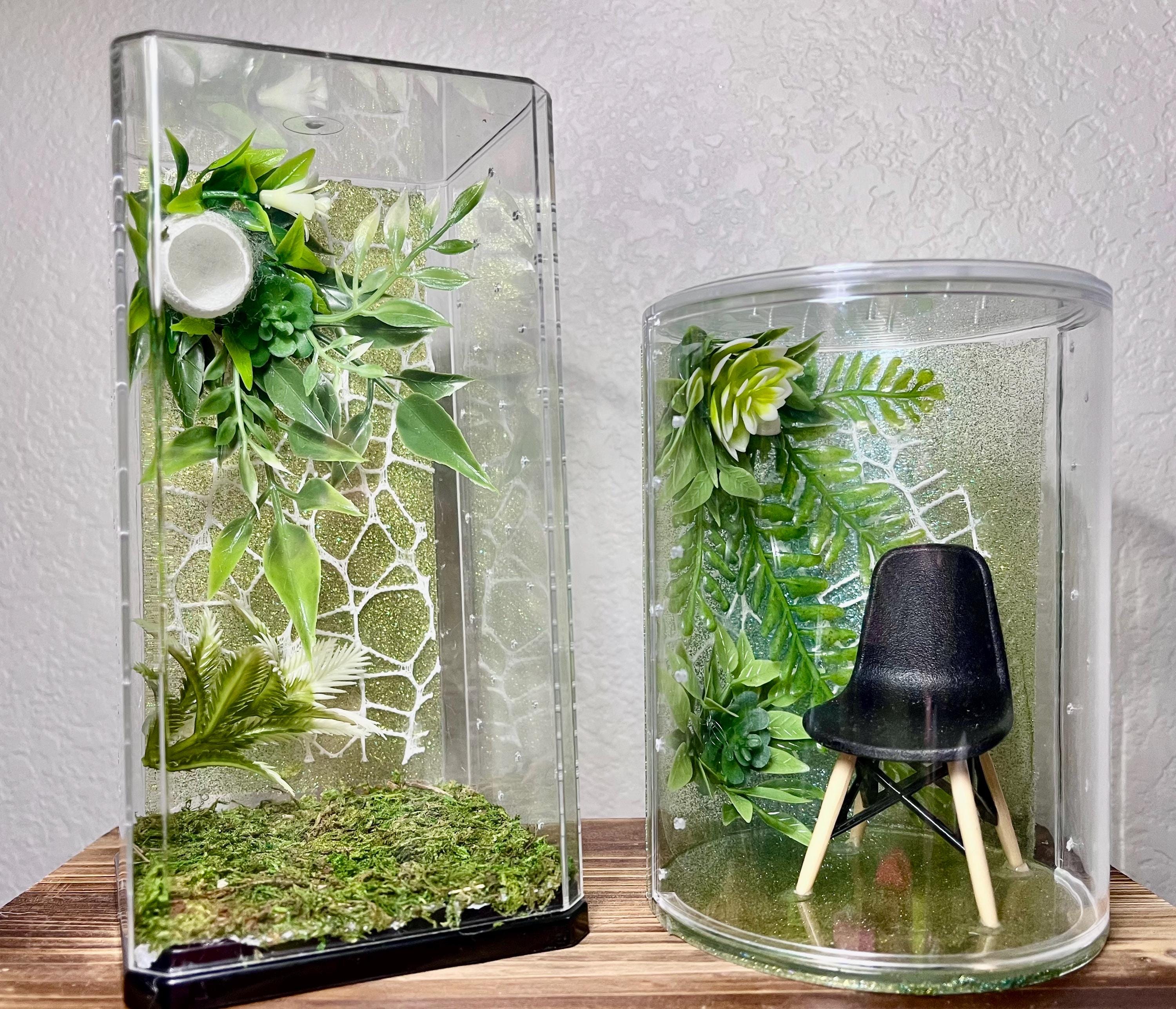 TWO Jumping Spider Enclosures BUNDLE - Etsy