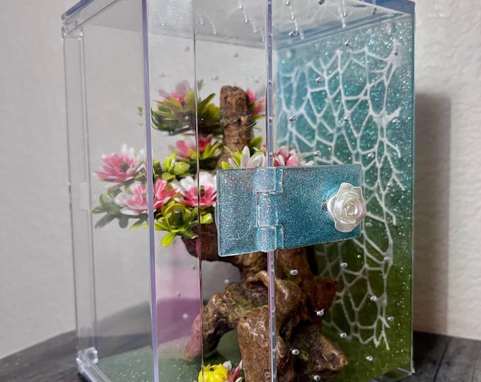 Jumping Spider Enclosure - Bonsai Tree - Etsy