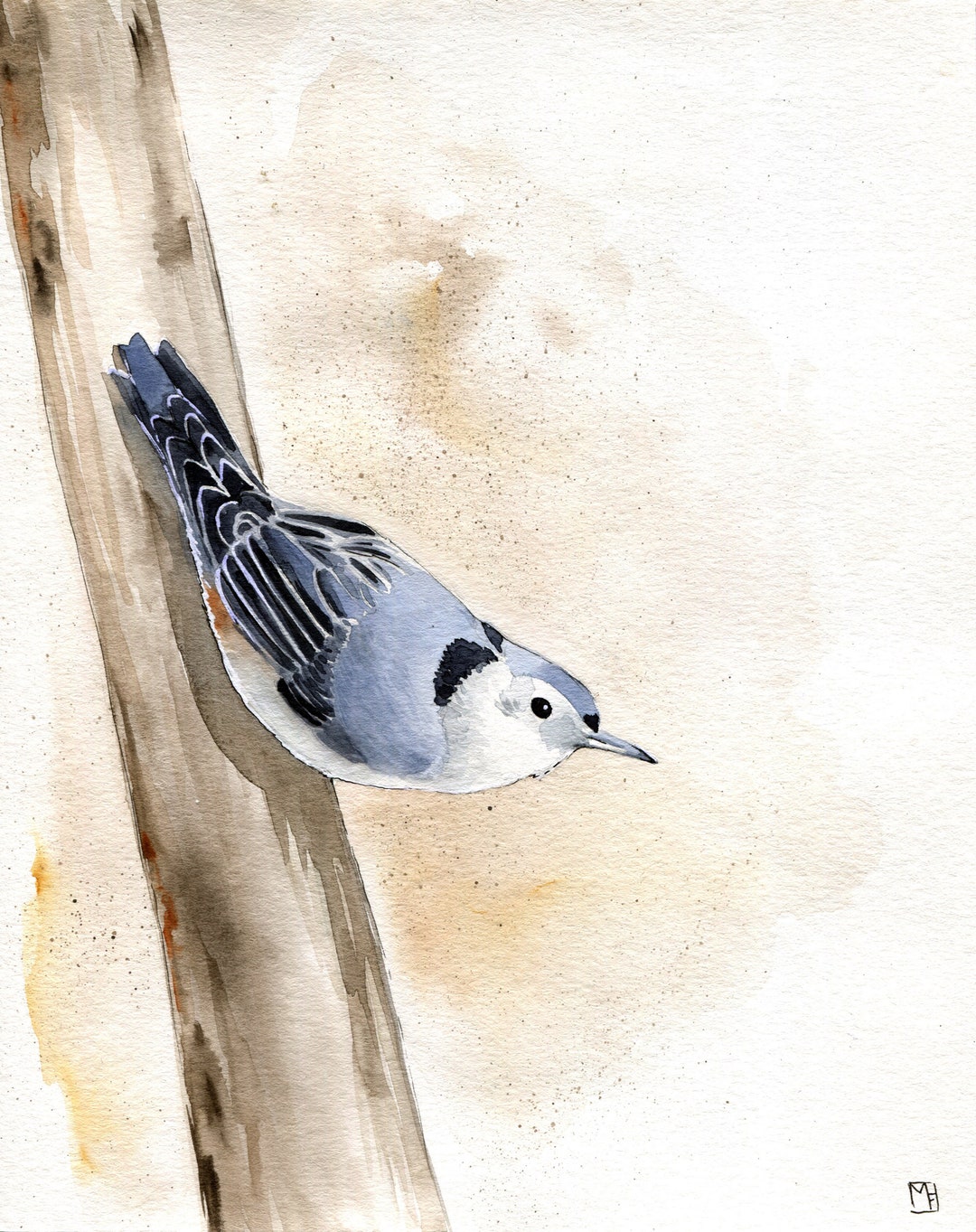 Mr. Nuthatch 8x10 Art Print - White-breasted Nuthatch Bird Watercolor ...