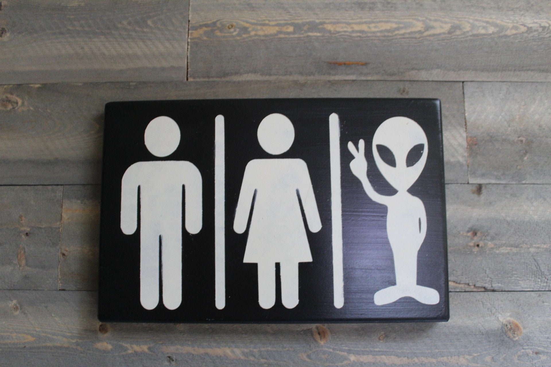 Restroom Sign Male Female Alien Wood sign Funny Bathroom Sign | Etsy