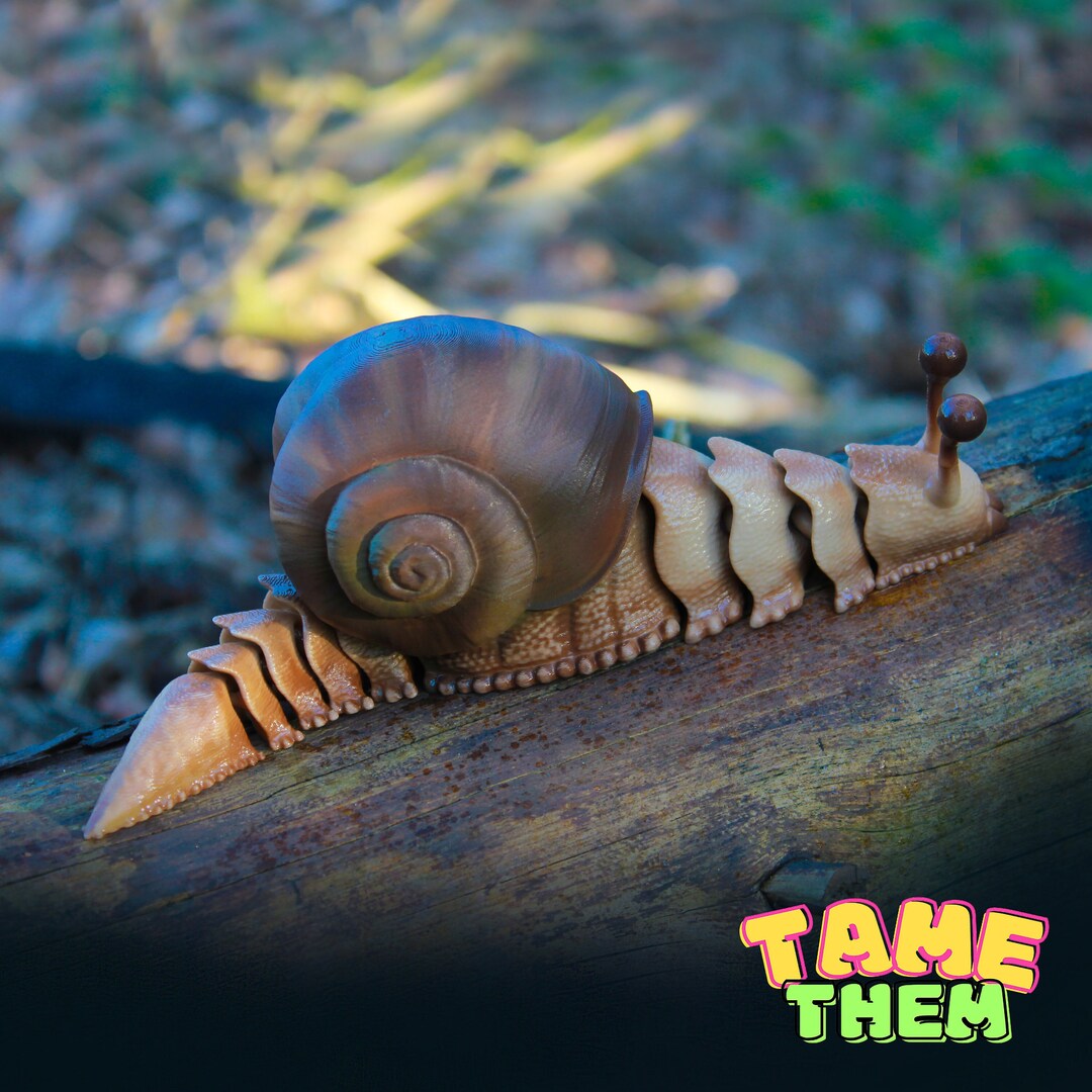 Snail / Toy / Turtle / Print in Place / Animal / Flexible /cute ...