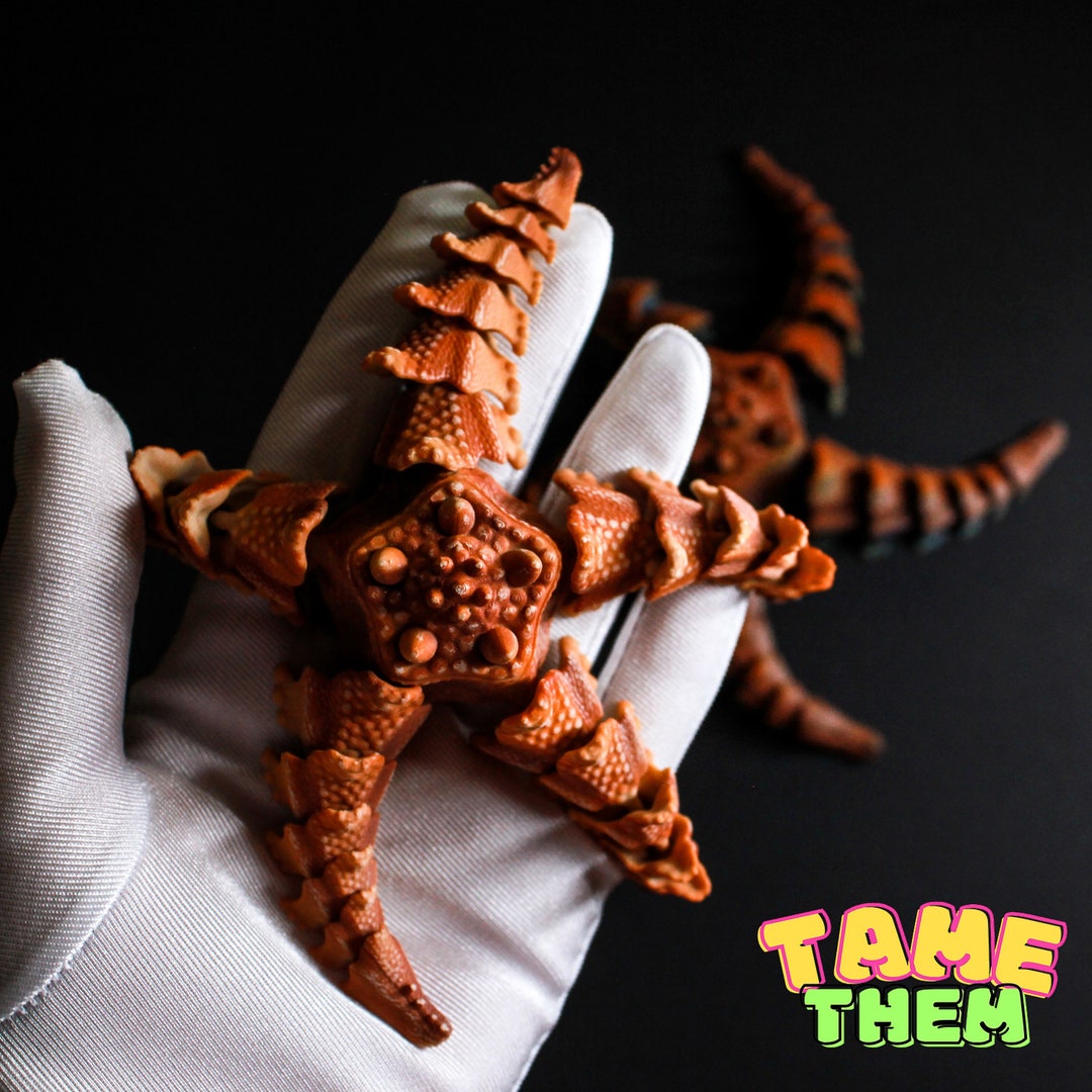 Articulated Sea Star / Toy / Turtle / Print in Place / Animal ...