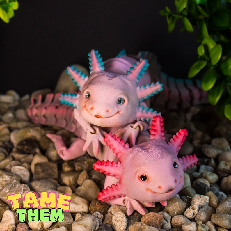 Axolotl / Toy / Fish / Print in Place / Animal / Flexible / Lizard ...