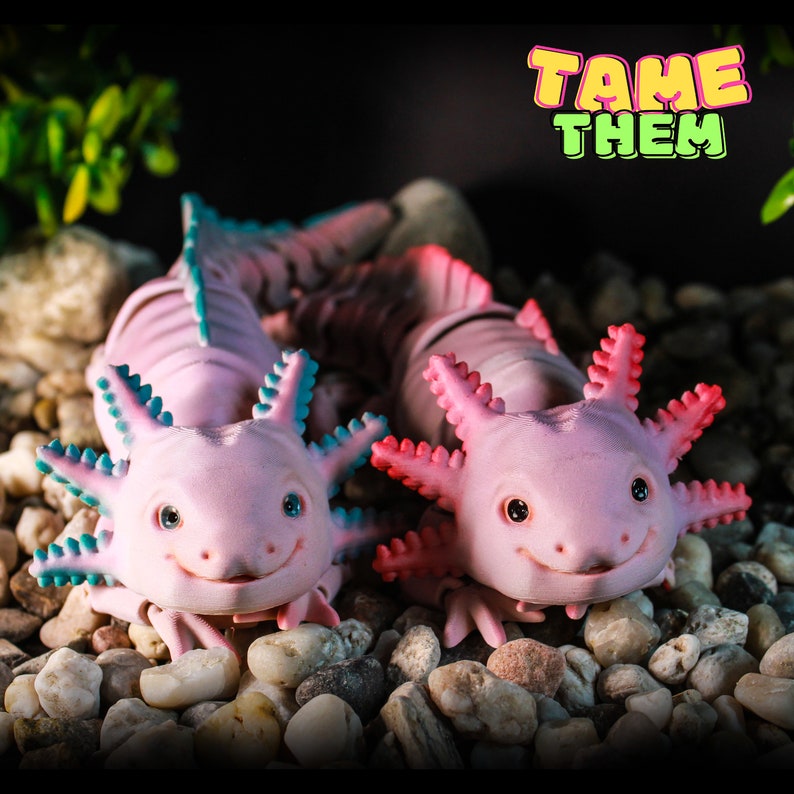 Axolotl / Toy / Fish / Print in Place / Animal / Flexible / Lizard ...