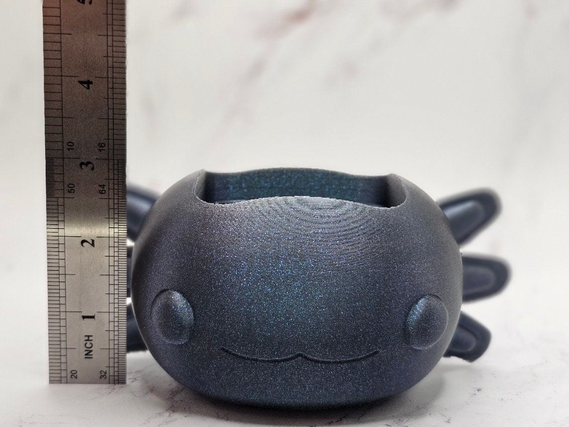 Axolotl Planter Axolotl Storage Gift for Axolotl Lovers - Etsy