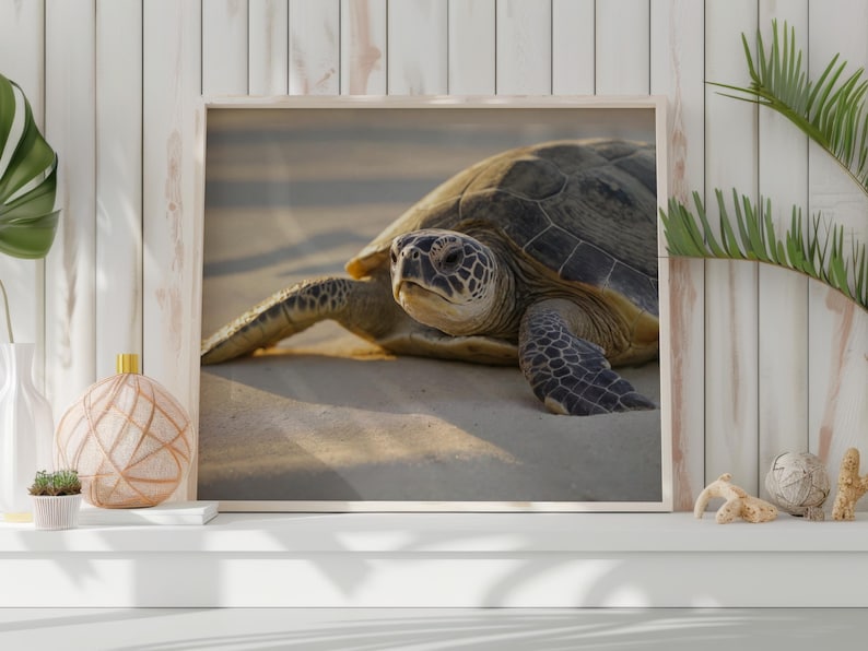 Sea Turtle Wall Art Animal Print Beachy Wall Art Beach Print Summer ...