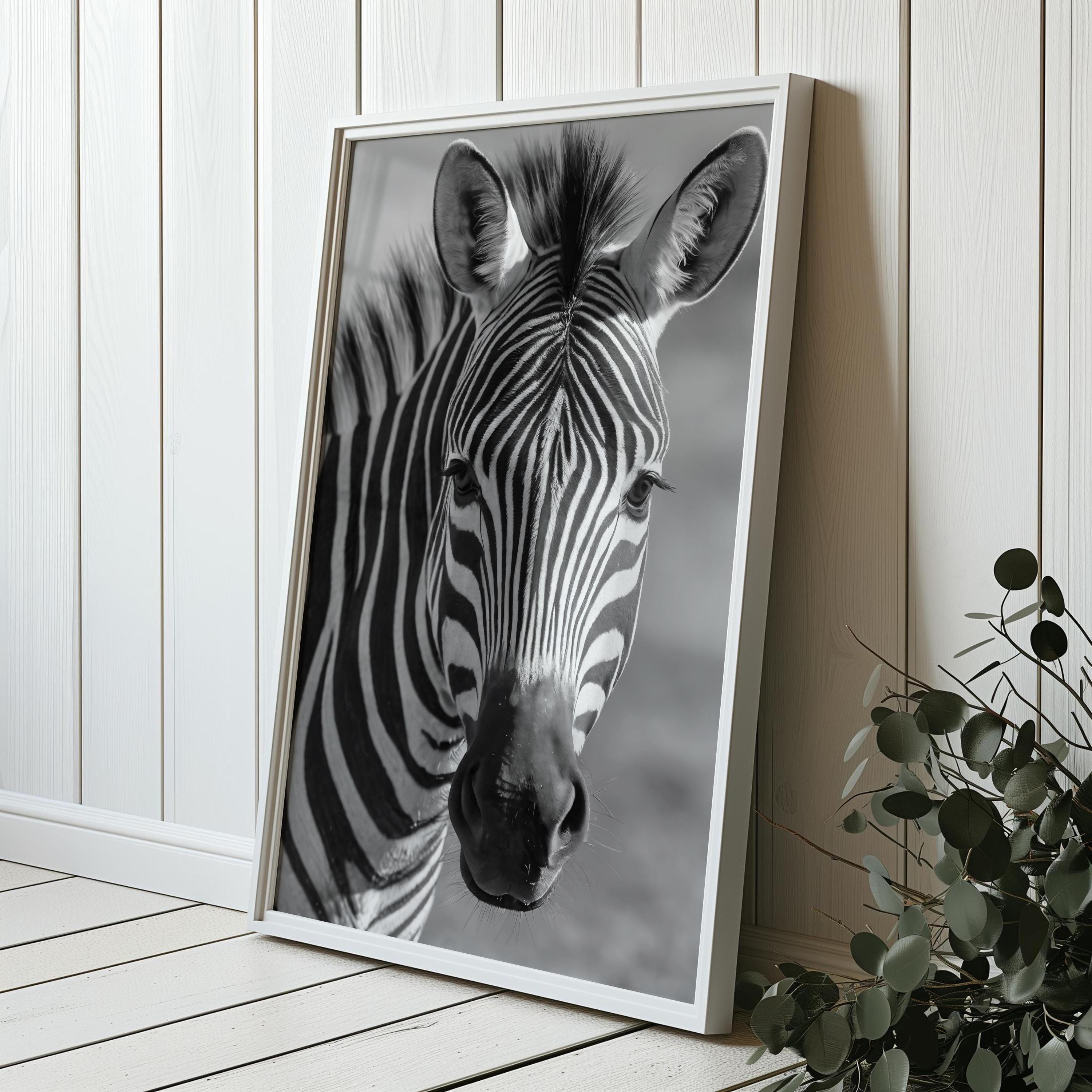 Zebra Wall Art Black and White Modern Decor Wildlife Poster Nature Art ...