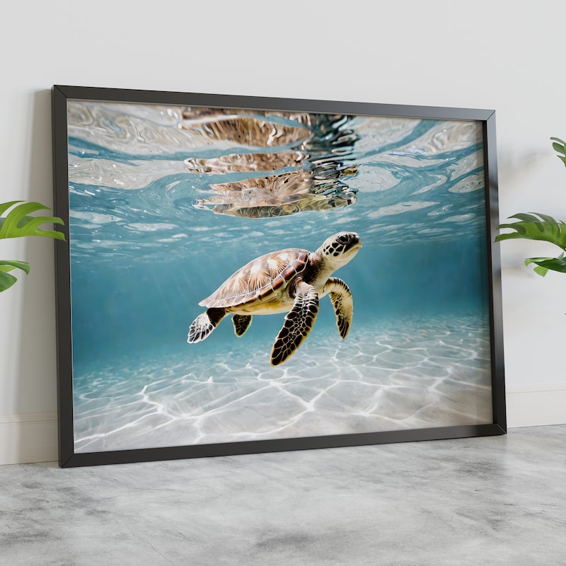 Turtle Picture Frame - Etsy