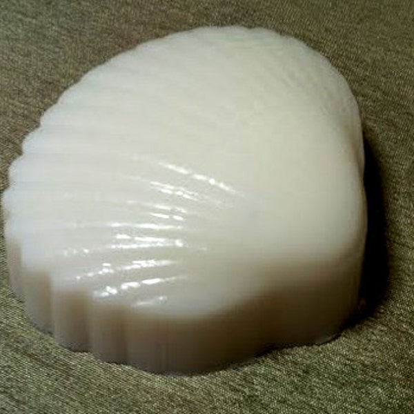 Clam Shell Shaped - Etsy