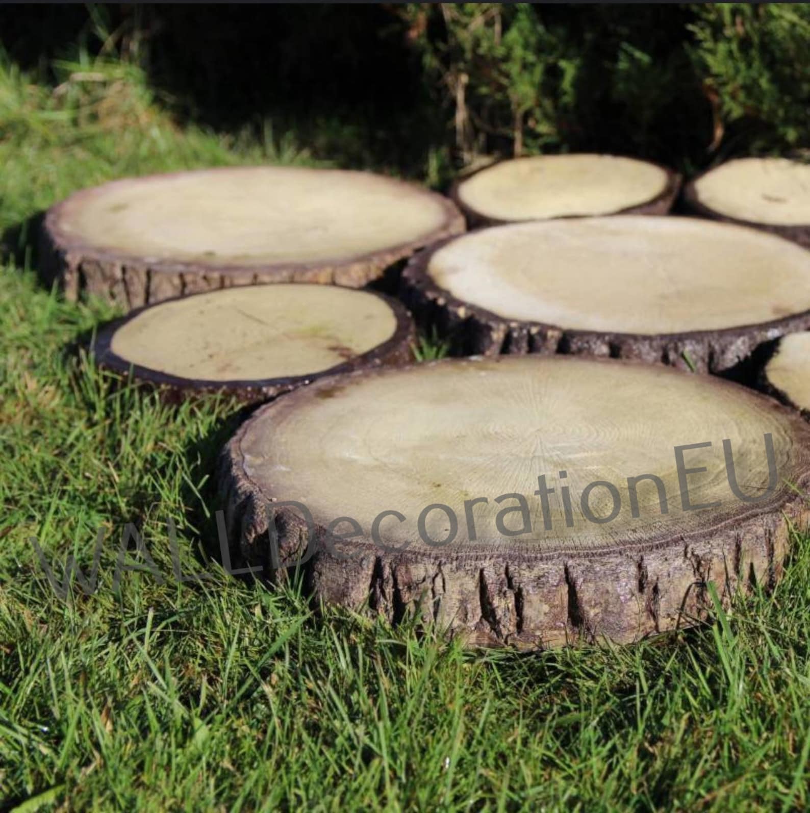 Cut a Tree SET – Concrete Paving Slab Mold for Garden Walkways and ...