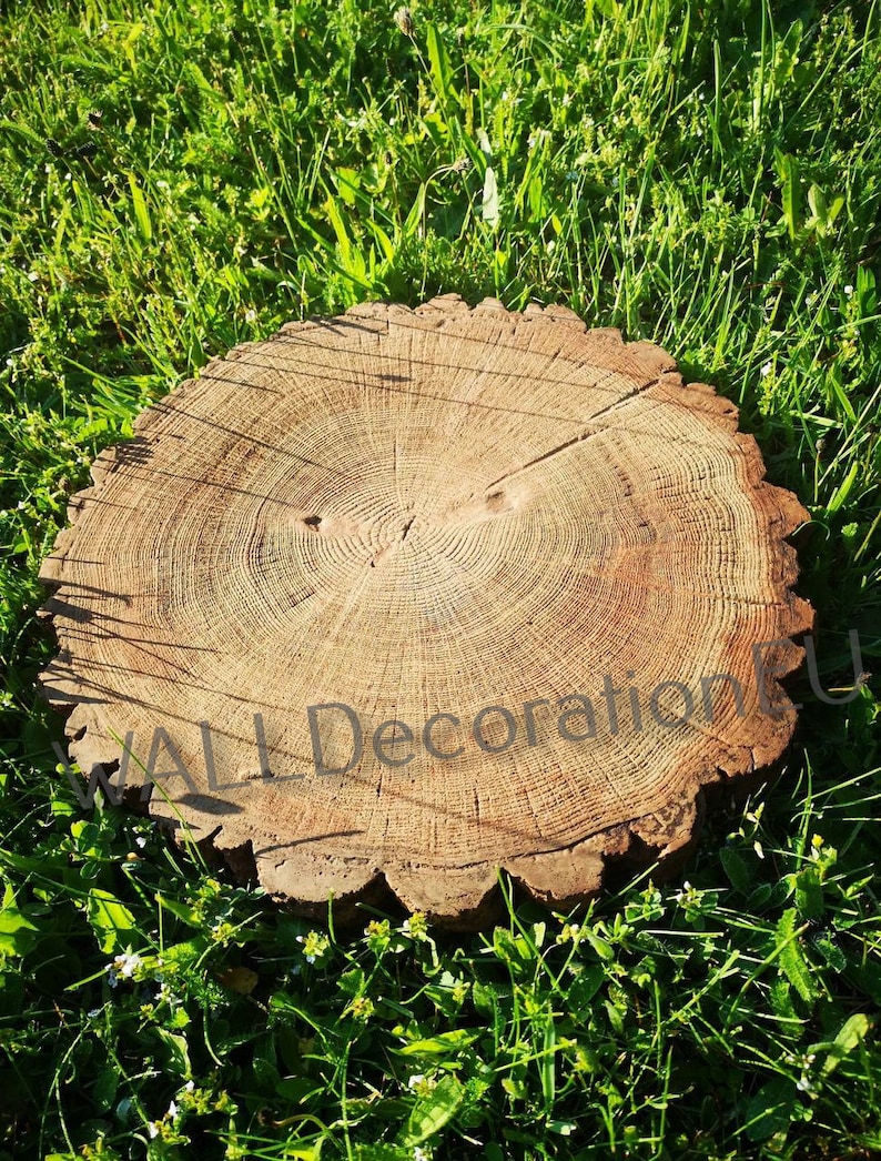 Cut a Tree - Plastic Mold for Concrete Paving Slabs, Stone Pattern ...