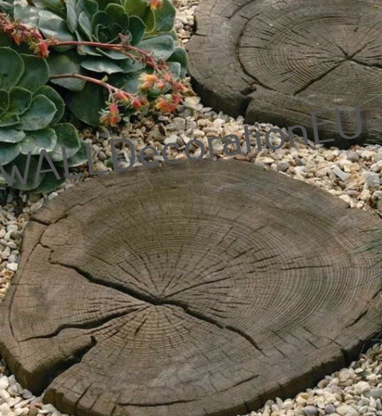 Cut a Tree Plastic Mold – Concrete Paving Slab Mold for Garden Walkways ...