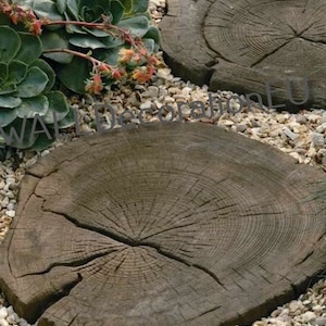 Cut a Tree SET – Concrete Paving Slab Mold for Garden Walkways and ...