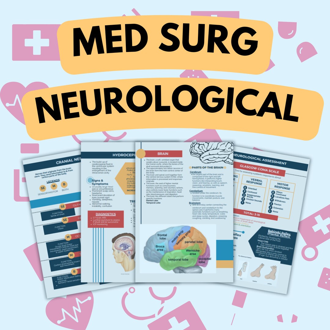 23 Pages Neurological System - Med Surgery Study Notes , Doctor Lecture ...