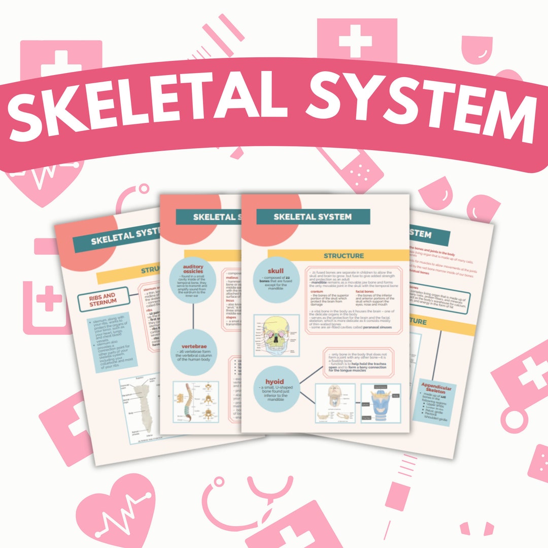 10 Pages Skeletal System Study Guide | Med Student | Pre Med Lectures ...