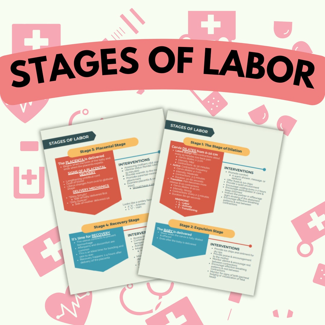 2 Pages Stages of Labor Guide | Med Student | Pre Med Lectures ...