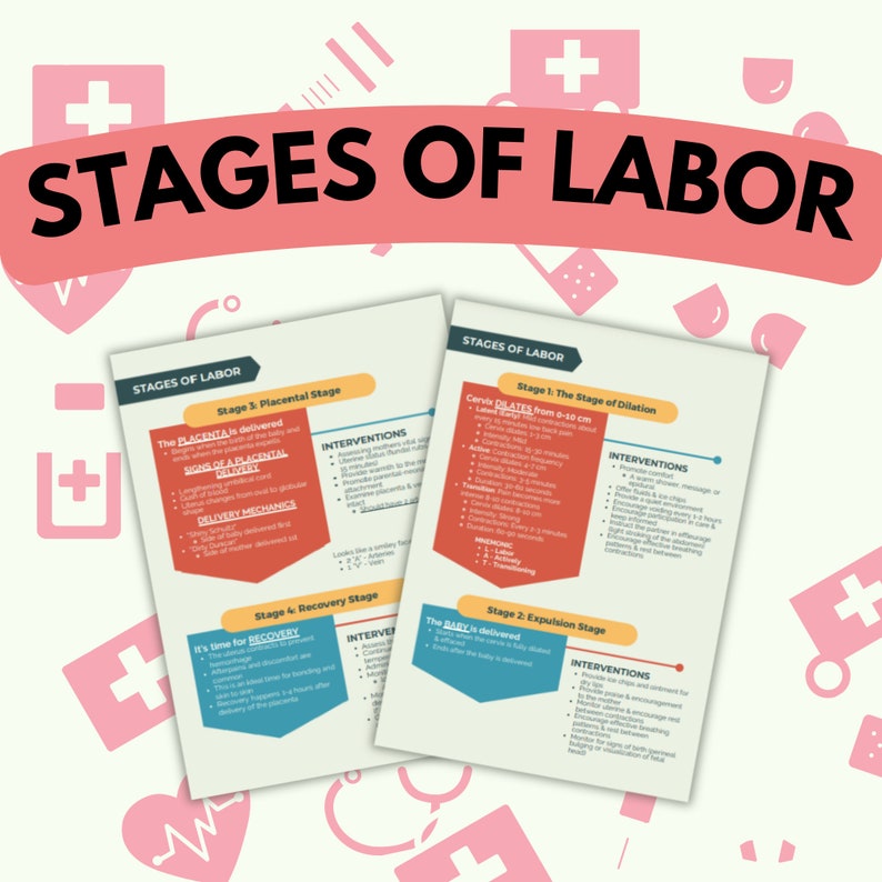 2 Pages Stages of Labor Guide | Med Student | Pre Med Lectures ...