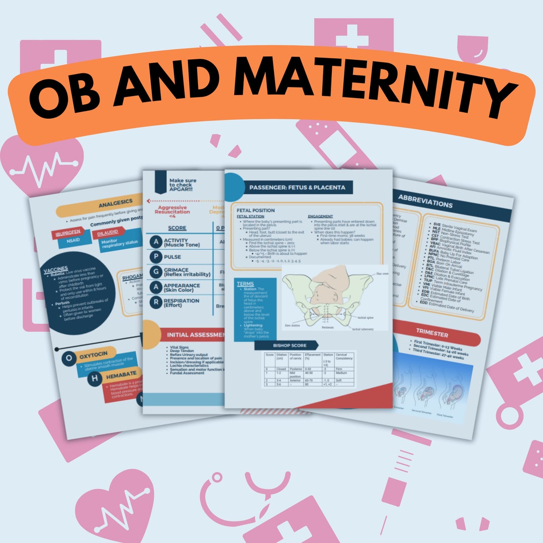33 Pages OB & Maternity Study Notes , Doctor Lecture , Nurse in the ...