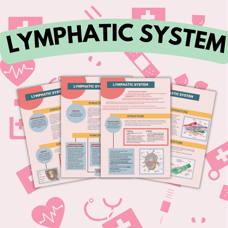 4 Pages Lymphatic System Study Notes , Doctor Lecture , Nurse in the ...