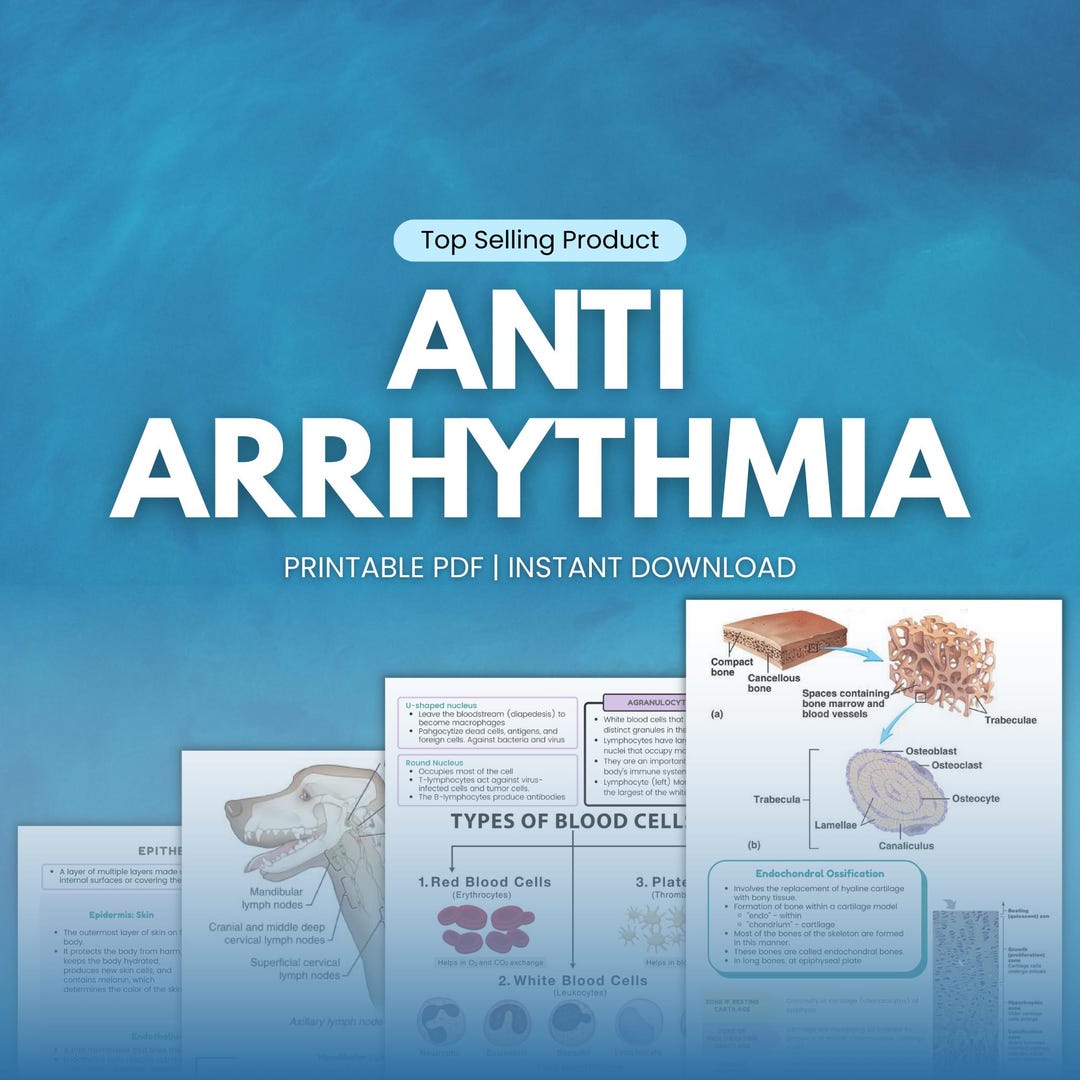 Anti Arrhythmia Notes, Veterinary Med Lessons, Domestic Animal ...