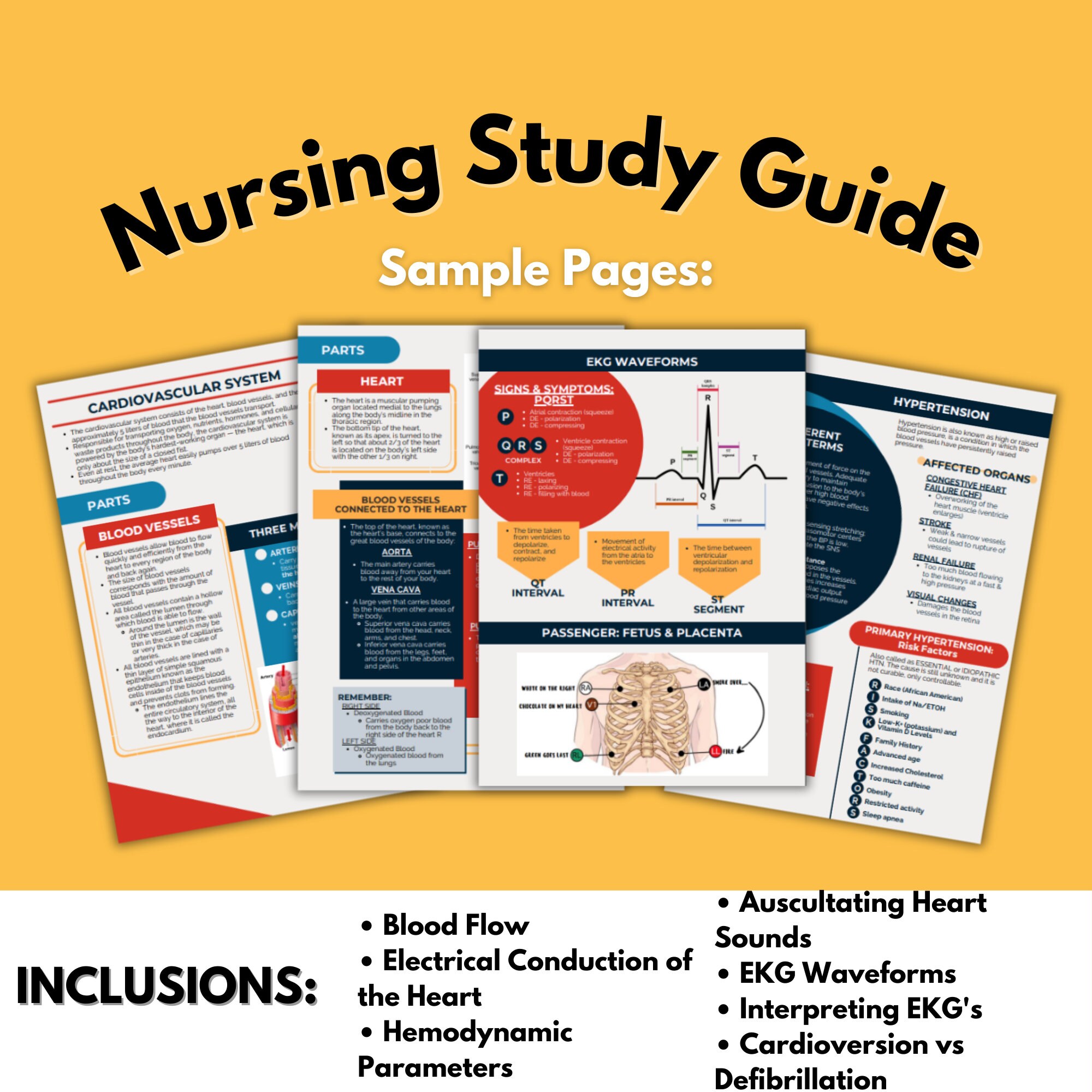 29 Pages Cardiac System - Med Surgery Study Notes , Doctor Lecture ...