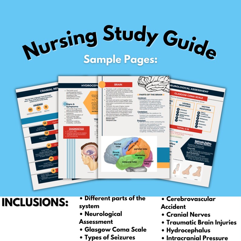 23 Pages Neurological System - Med Surgery Study Notes , Doctor Lecture ...