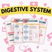 7 Pages Digestive System Study Notes , Doctor Lecture , Nurse in the ...