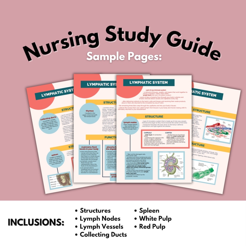 4 Pages Lymphatic System Study Notes , Doctor Lecture , Nurse in the ...