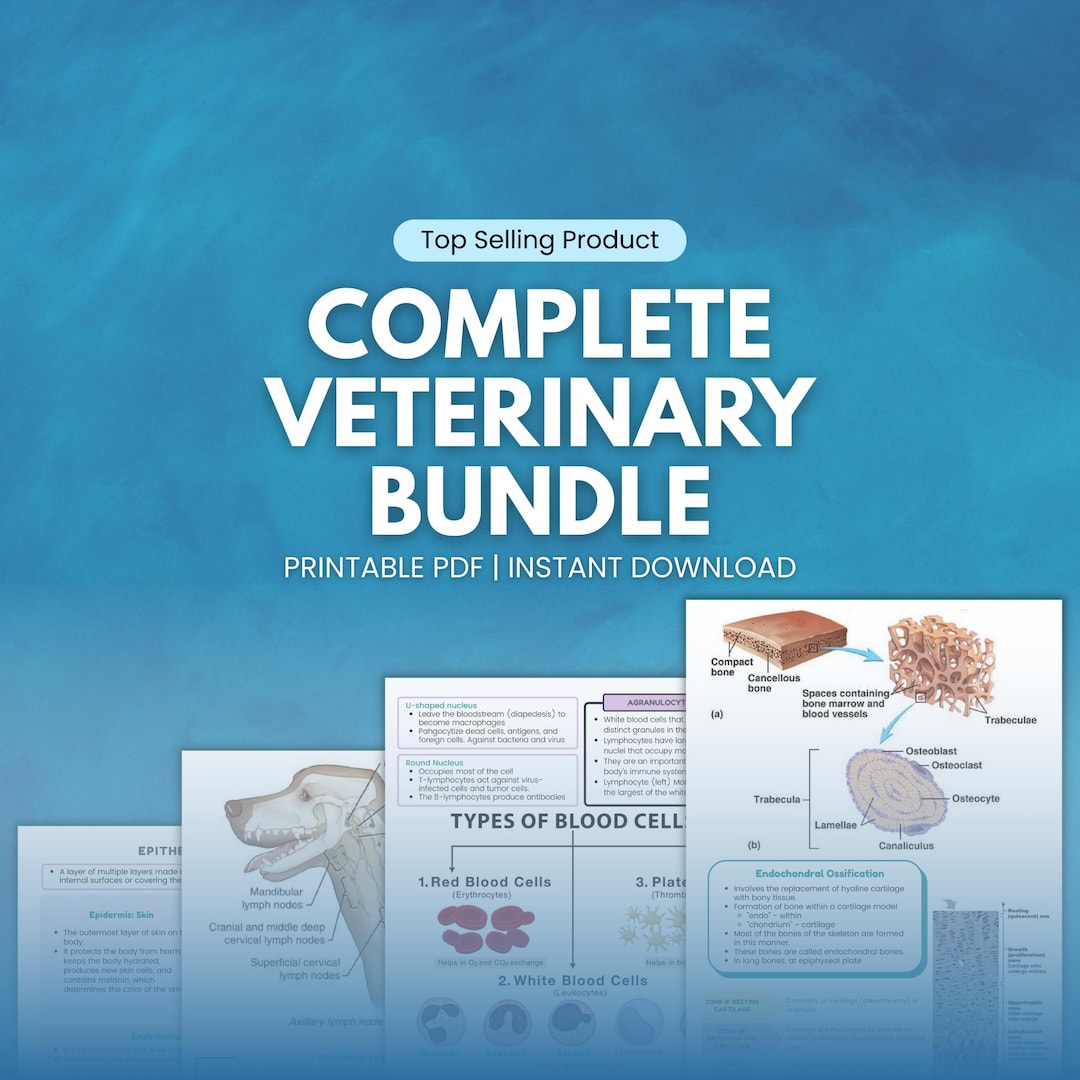 Complete Veterinary Bundle| Vet Med Lessons| Domestic Animal Physician ...