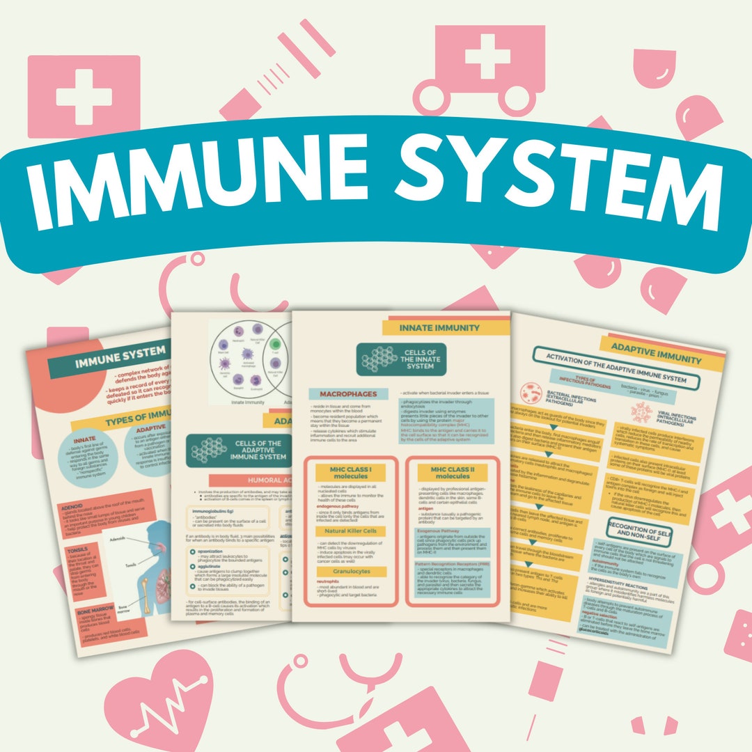 8 Pages Immune System Study Notes | Nursing School | Anatomy and ...