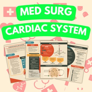 29 Pages Cardiac System - Med Surgery Study Notes , Doctor Lecture ...