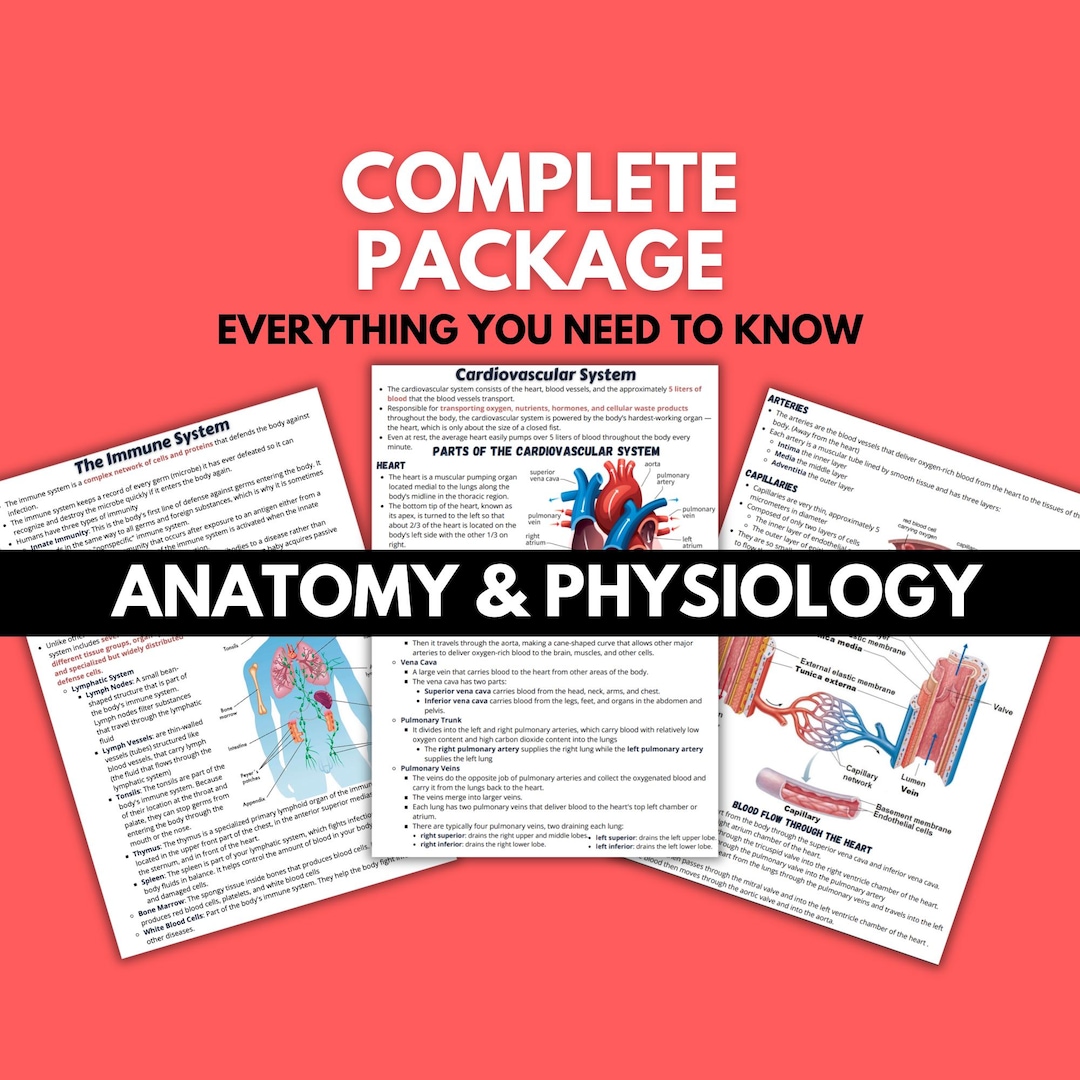 Anatomy and Physiology Bundle Package | 80+ Page Bundle | Nurse Study ...
