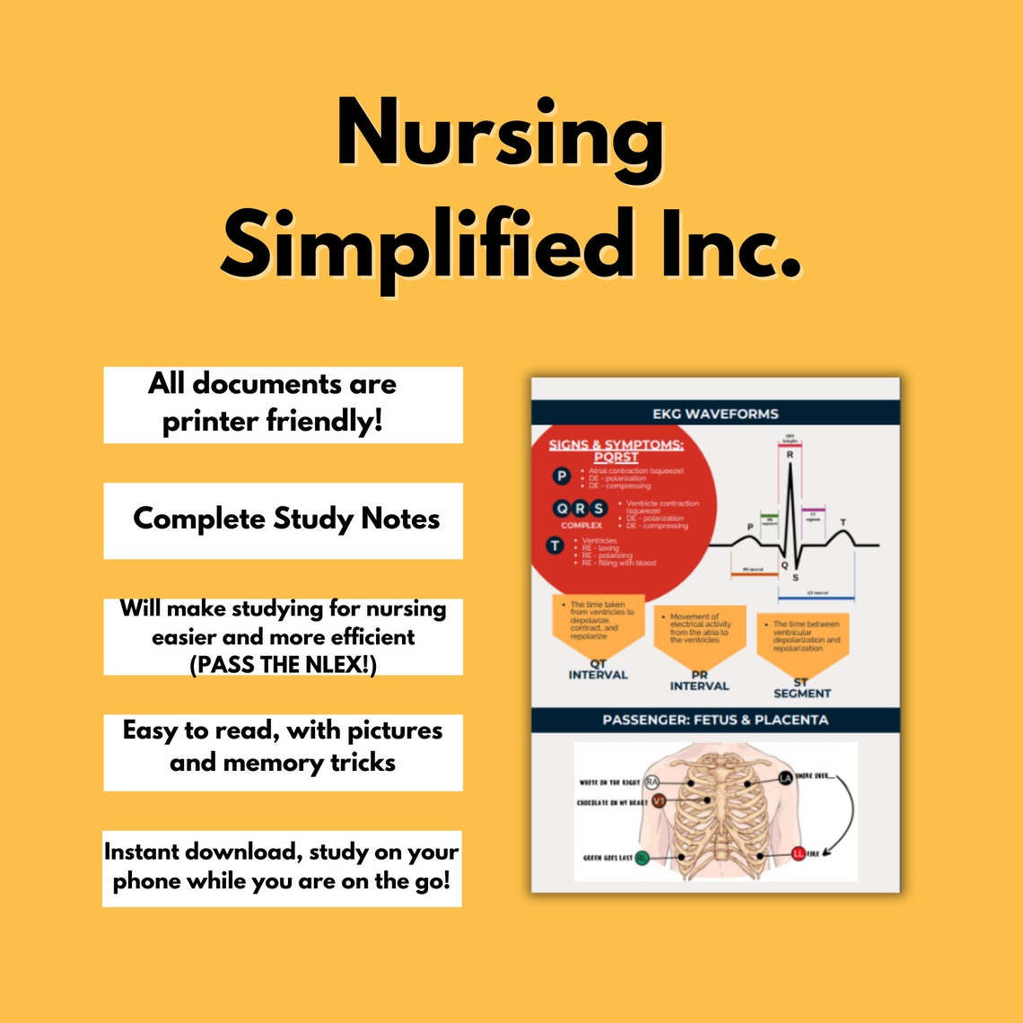 29 Pages Cardiac System - Med Surgery Study Notes , Doctor Lecture ...