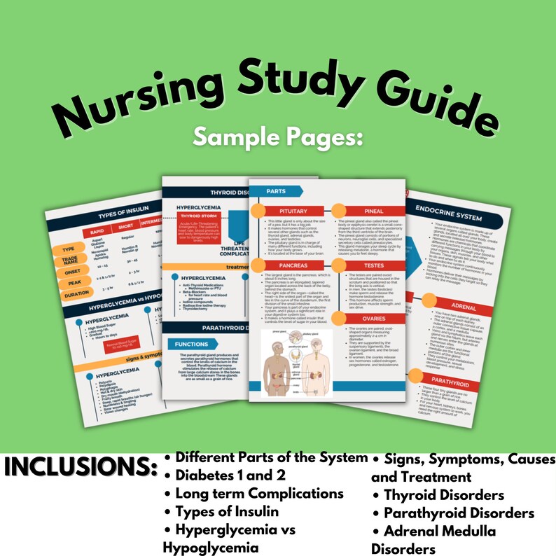 14 Pages Endocrine System - Med Surgery | Clinical Skills | Premed ...