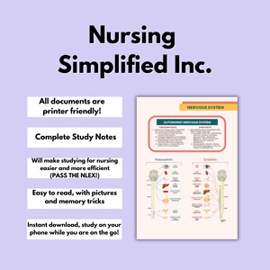 8 Pages Nervous System Study Guide | Clinical Skills | Premed Student ...