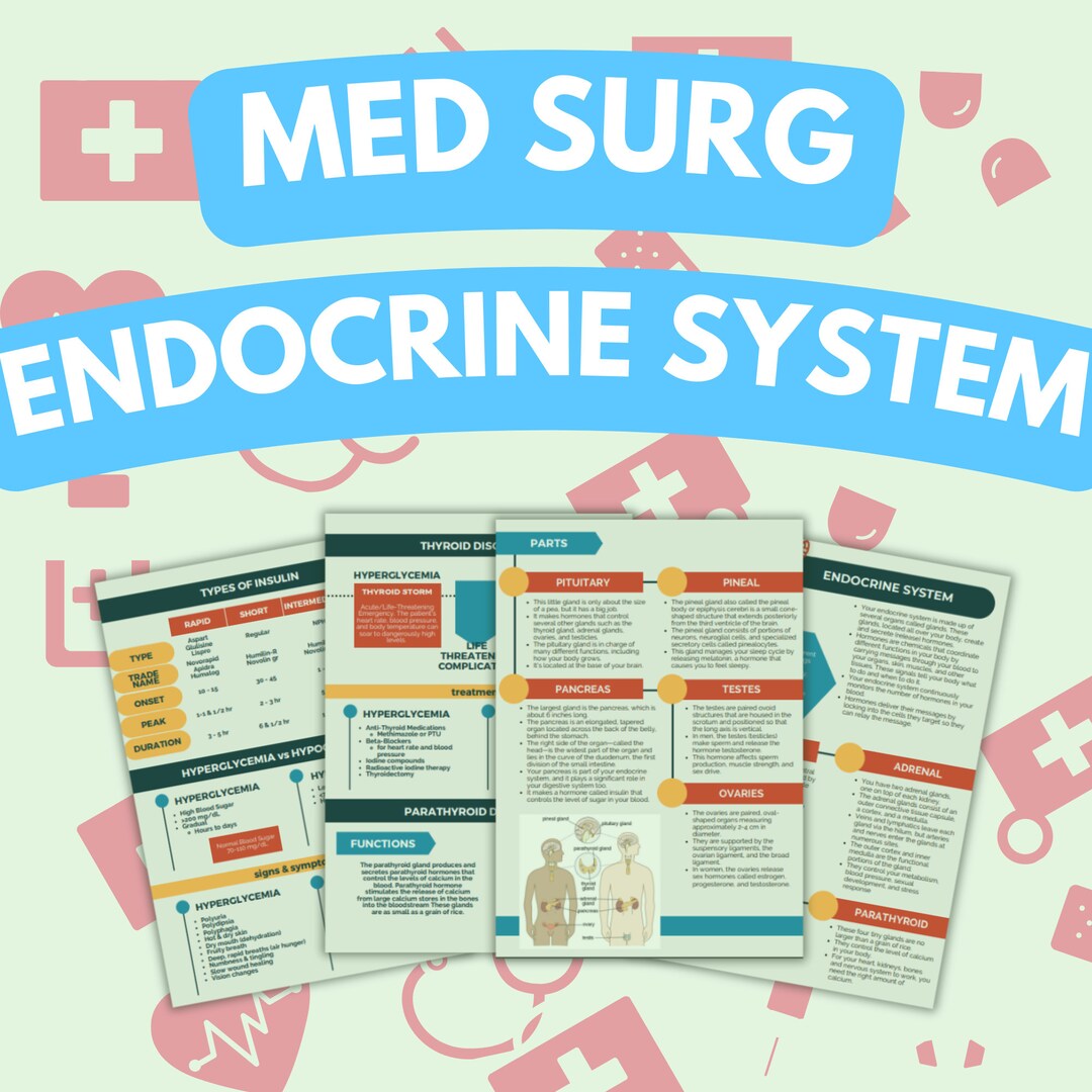 14 Pages Endocrine System - Med Surgery | Clinical Skills | Premed ...