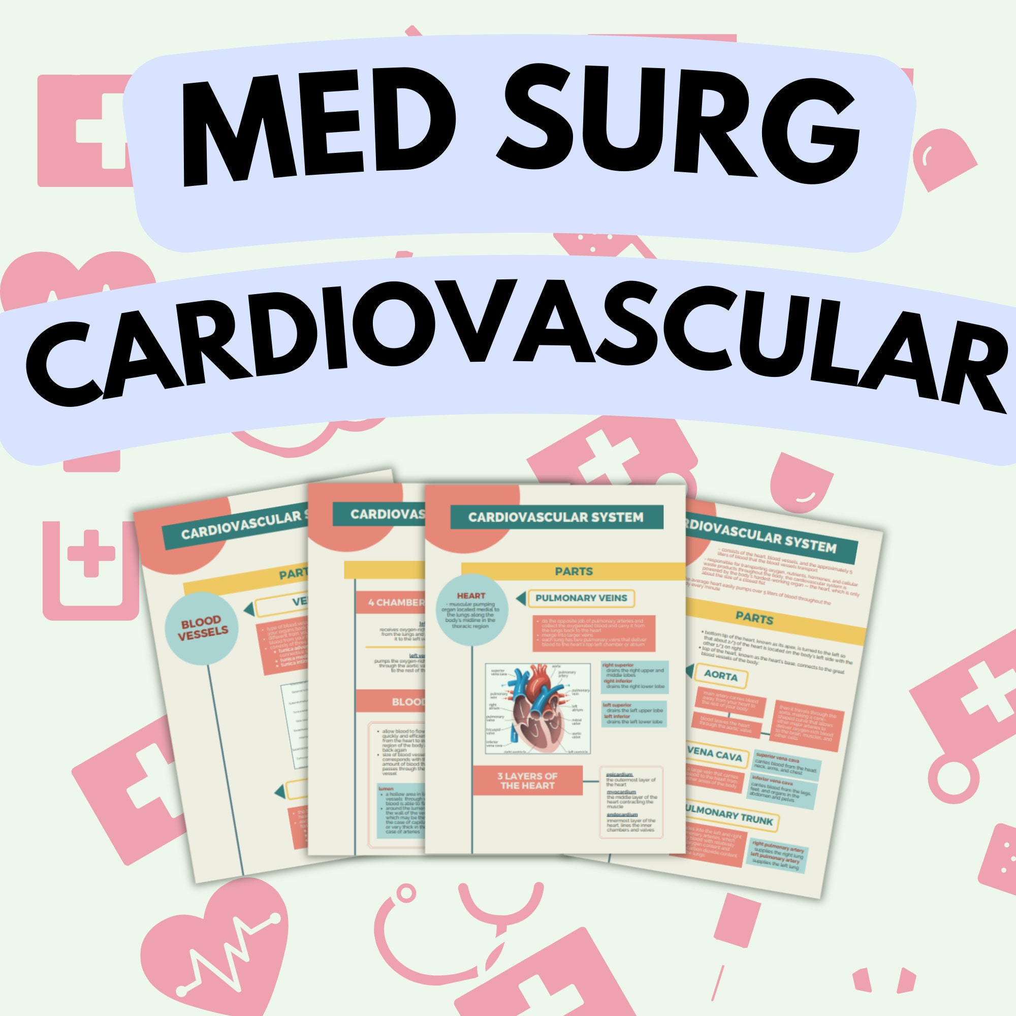 11 Pages Cardiovascular System - Med Surgery Study Notes , Doctor ...