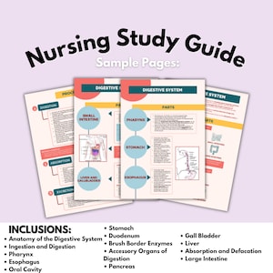 7 Pages Digestive System Study Notes , Doctor Lecture , Nurse in the ...