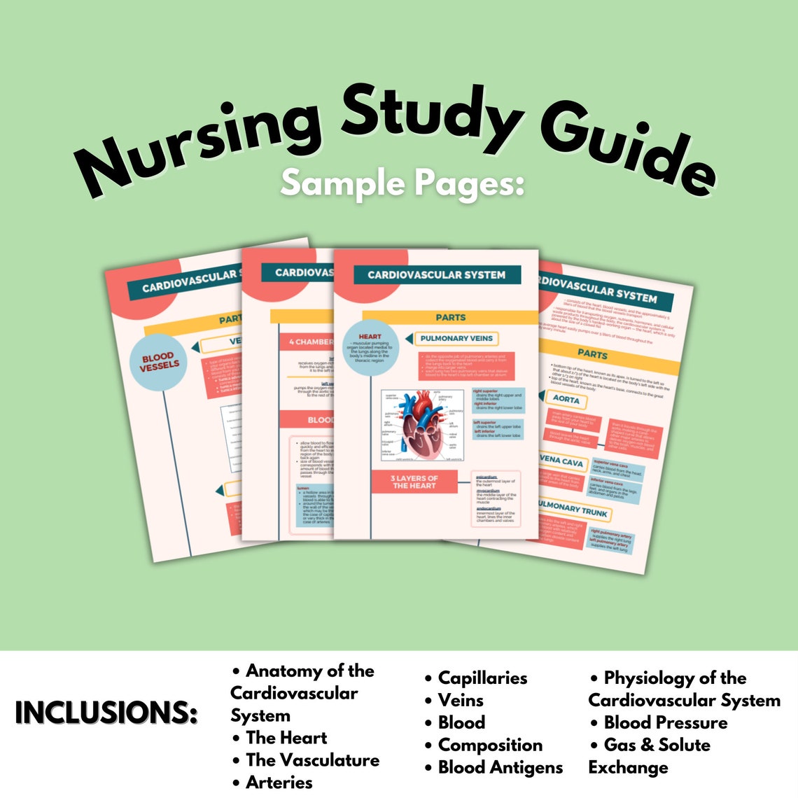 11 Pages Cardiovascular System - Med Surgery Study Notes , Doctor ...